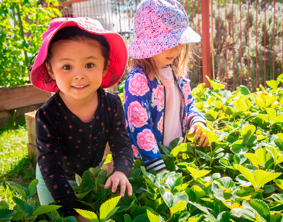 Private Christian Preschool Newcastle: Macquarie College